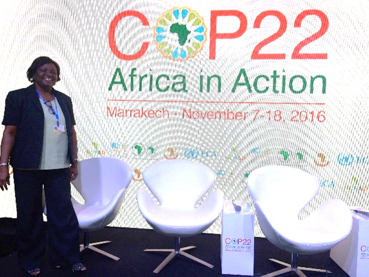 COP 22 - A Review - Alliance of Civil Society Organisations for Clean ...